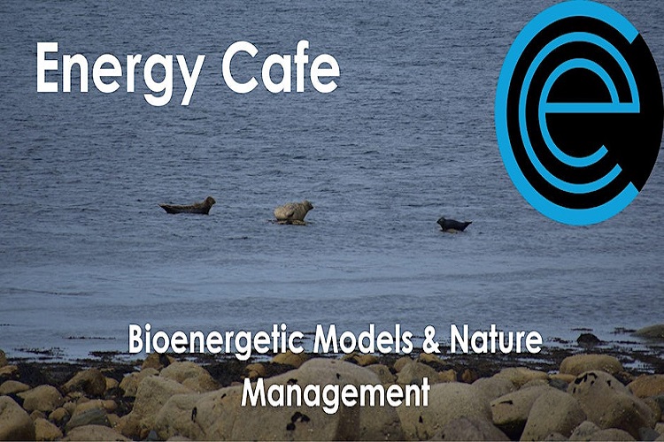 Energy Cafe Bioenergetic Models & Nature Management | Events