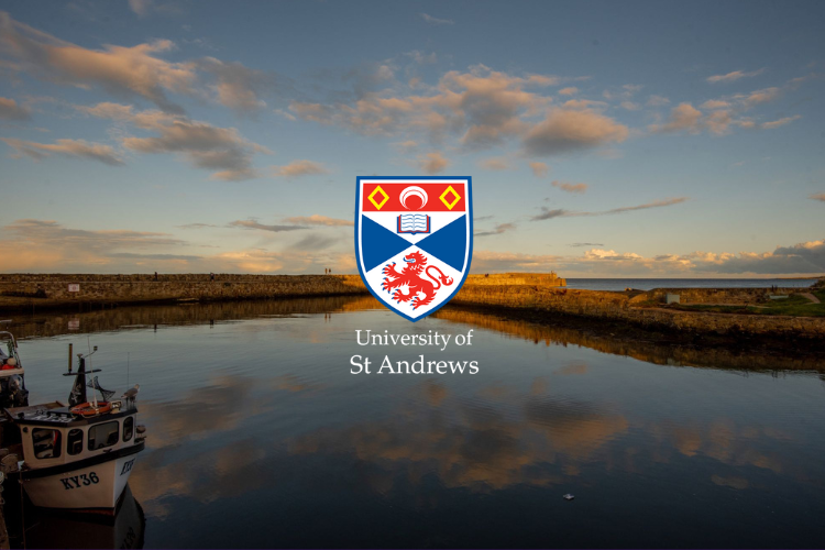 Welcome to University of St Andrews Business School: Student Town Hall ...